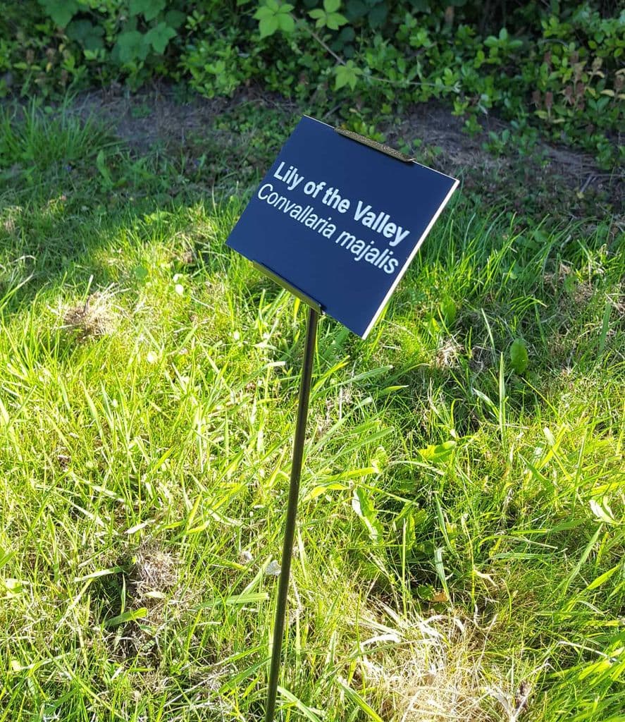 Plant Identification Plaque - Choose your text and colour